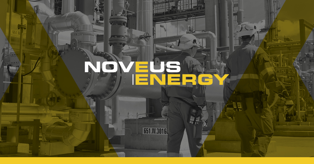 Industrial and Manufacturing | Noveus Energy